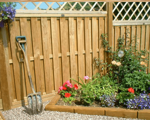 Siberian larch fence panels