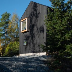Siberian Larch Charred Cladding