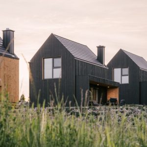 Siberian Larch Charred Cladding