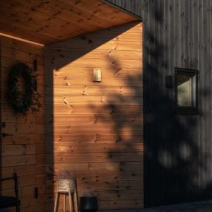 Spruce Charred Cladding