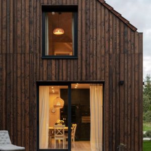 Siberian Larch Charred Cladding