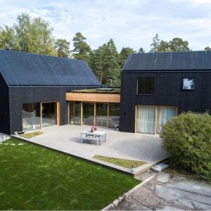 Siberian Larch Charred Cladding