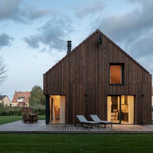 Siberian Larch Charred Cladding