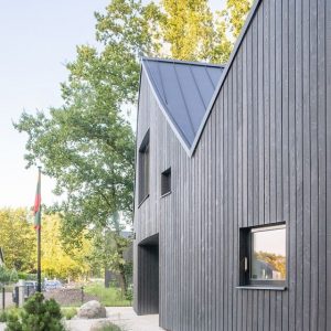 Siberian larch charred cladding - Shou Sugi Ban